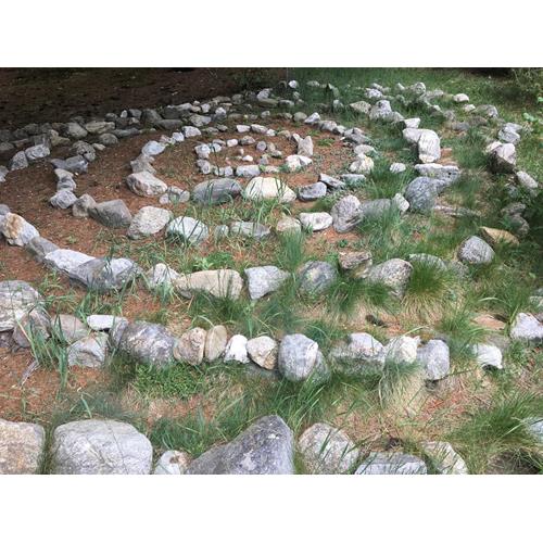 News from Hotel Innerhofer - The 5 pillars of the Kneipp System